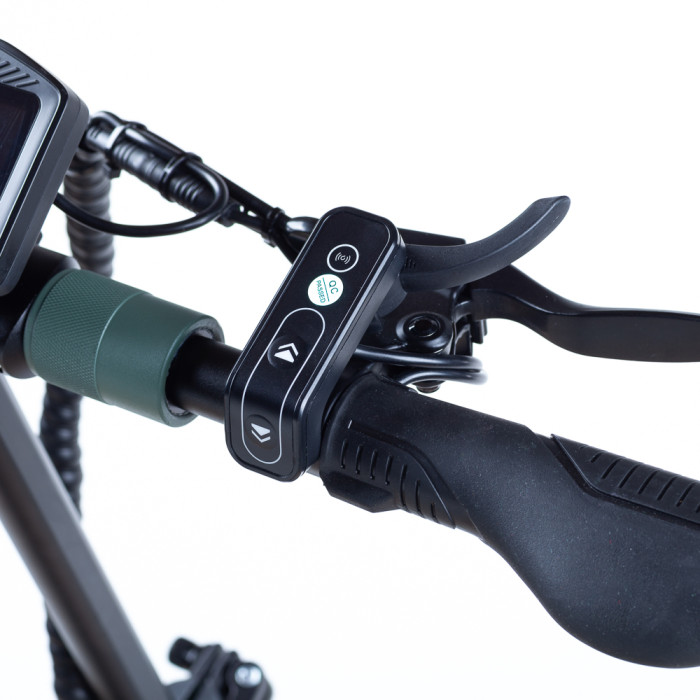 VSETT 8 electric scooter in stock. - Enjoy the ride